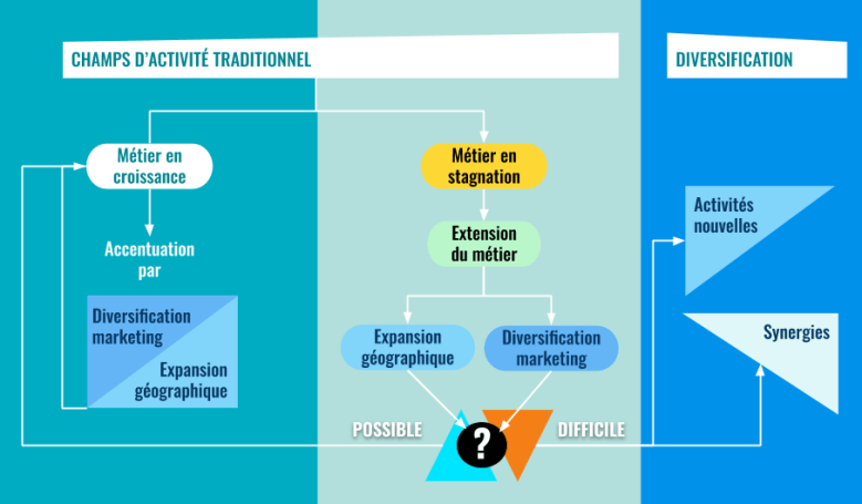 LES STRATÉGIES DE DÉVELOPPEMENT DES ENTREPRISES : stratégies globales ...